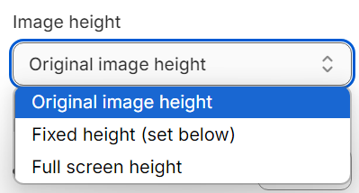 Image banner – User Guides